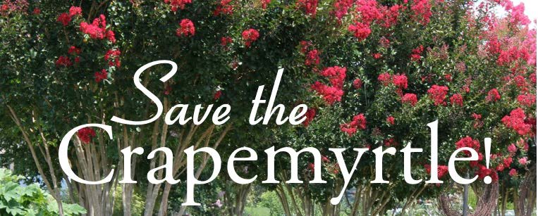 Madison County Master Gardeners